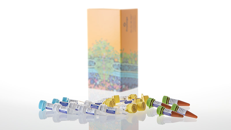 Plexor® HY System