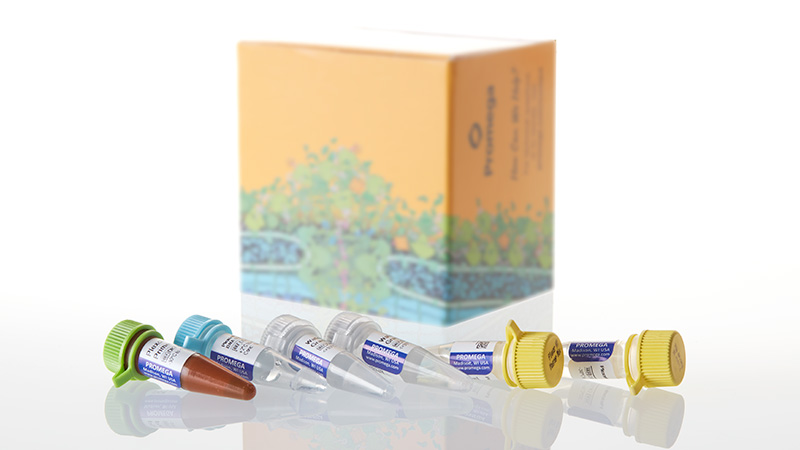 Plexor® HY System